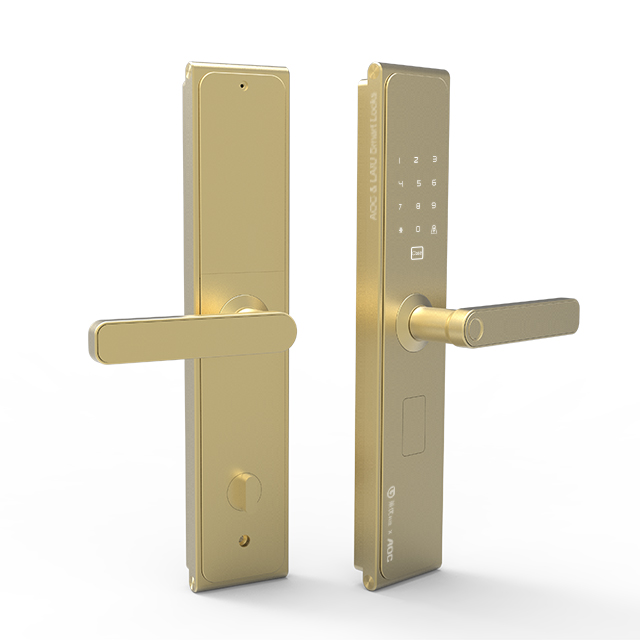 The knowledge of custom door lock. Manufactory supply all kinds of ...